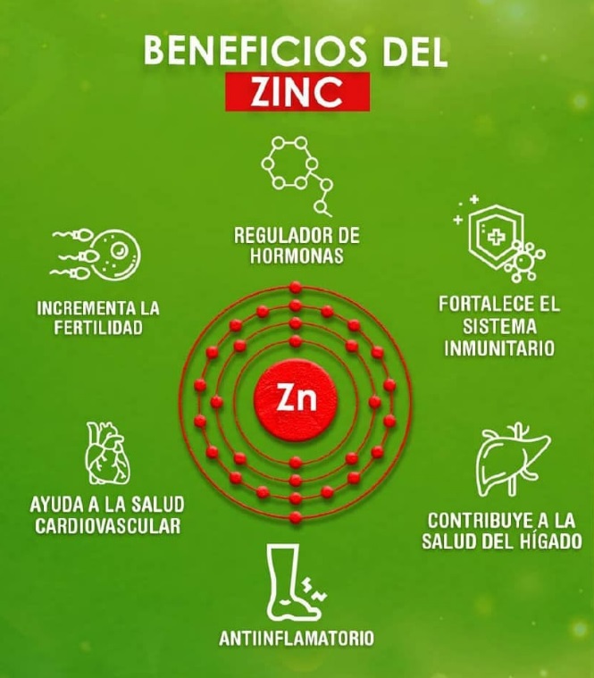 Zinc: qué aporta al organismo y cuáles son las mejores fuentes ...