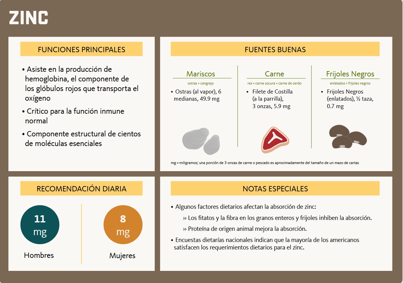 Zinc: qué aporta al organismo y cuáles son las mejores fuentes ...